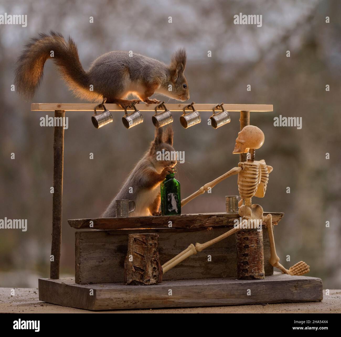 Skeleton bar hi-res stock photography and images - Alamy