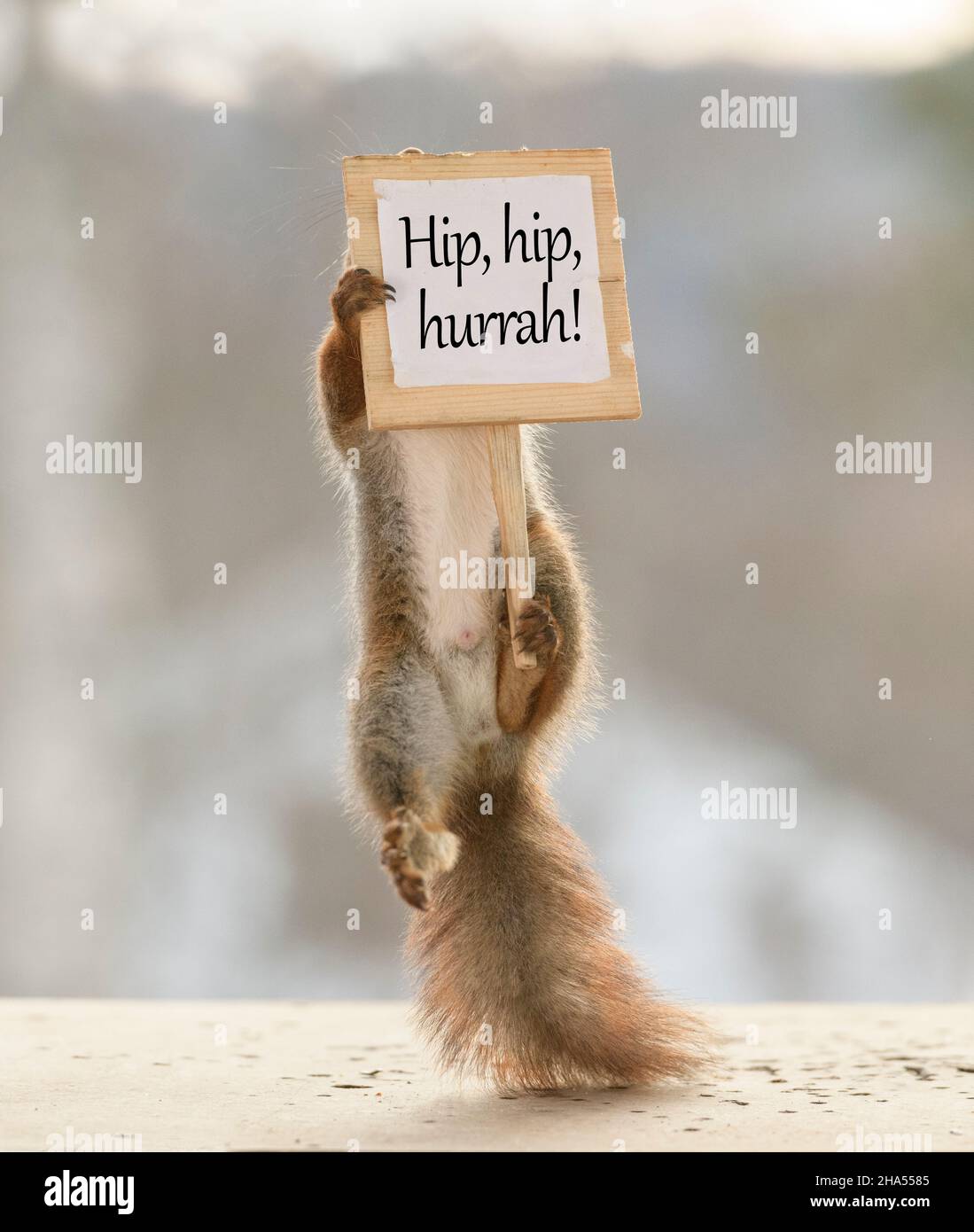 Hip hip hurray hi-res stock photography and images - Alamy
