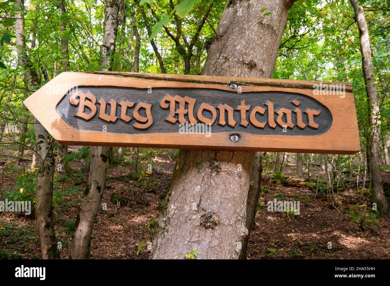 Montclair castle, germany hi-res stock photography and images - Alamy