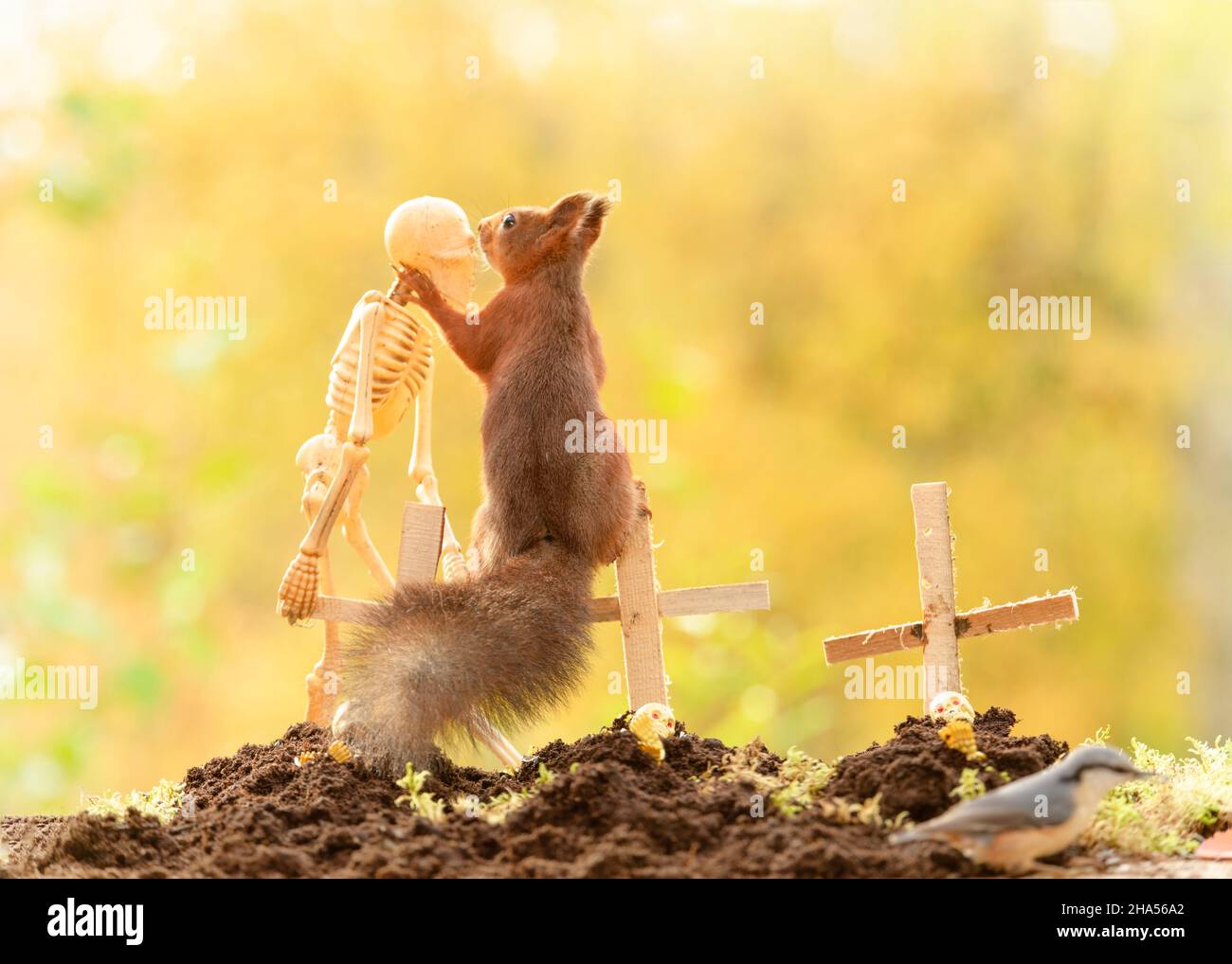 Skeleton cross hi-res stock photography and images - Alamy