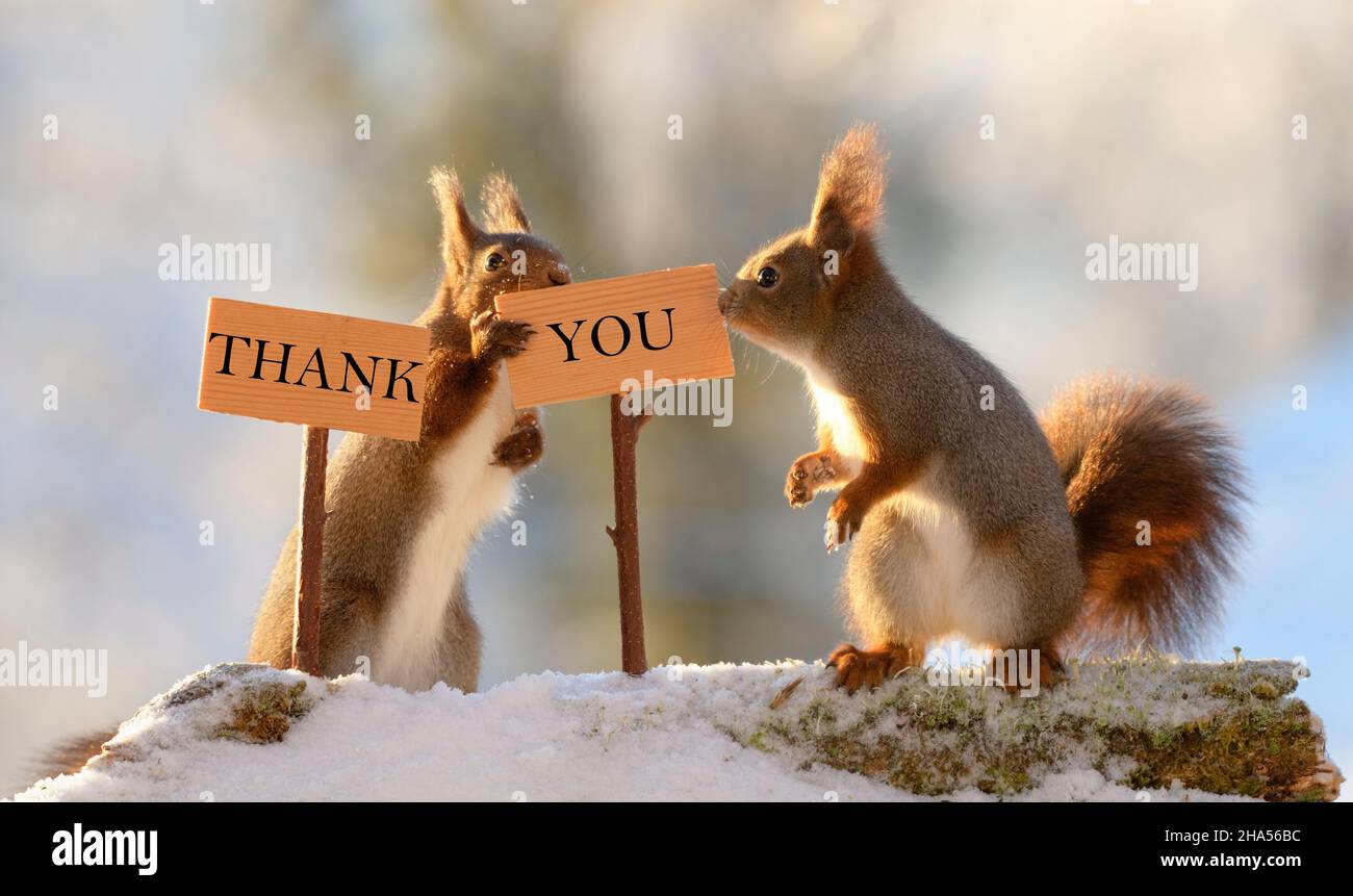 Sign no thank you hi-res stock photography and images - Alamy
