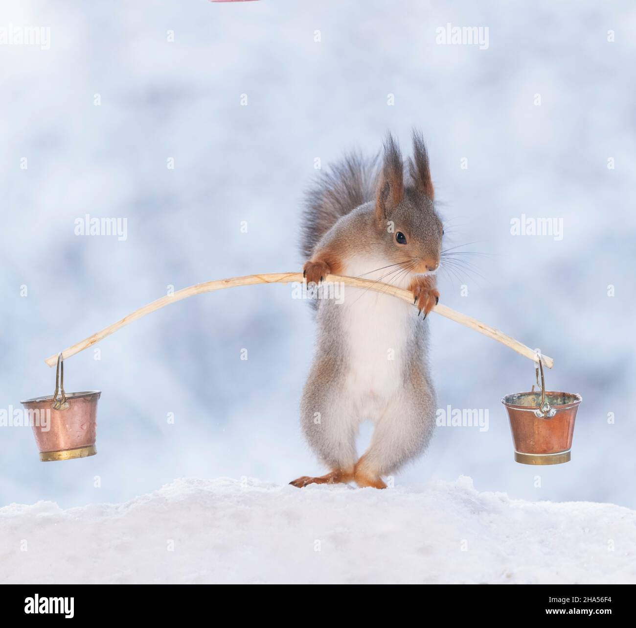 Water buckets hi-res stock photography and images - Alamy