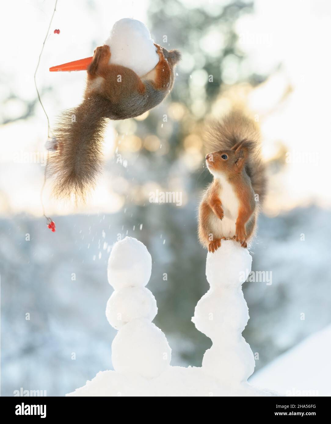 Snowman head in snow hi-res stock photography and images - Alamy