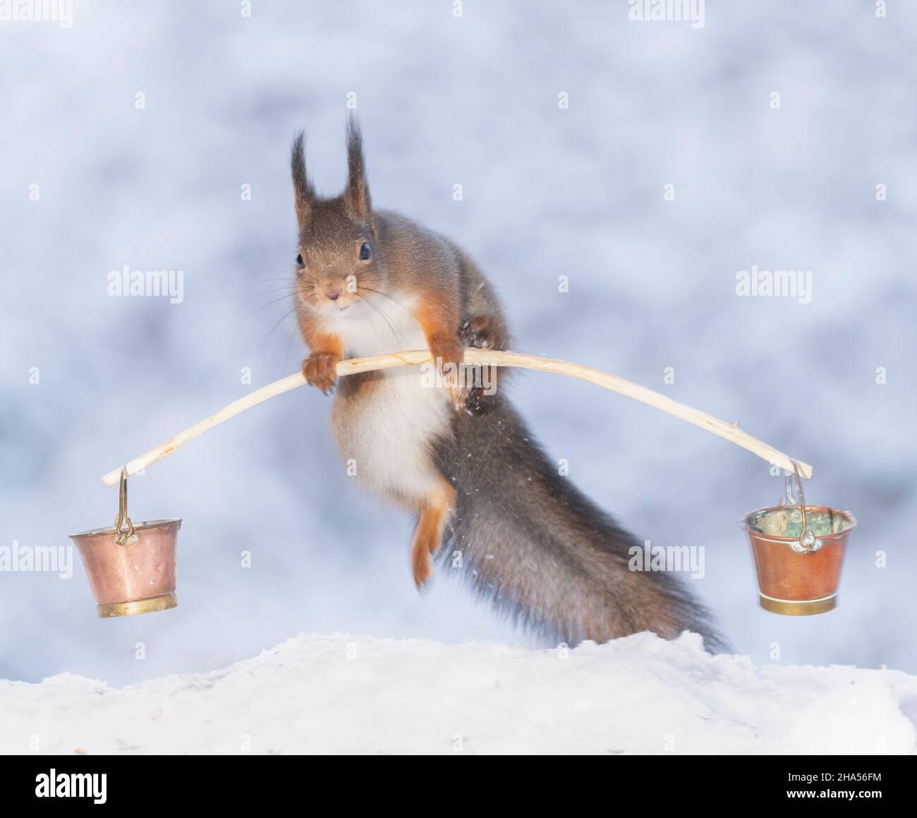 Water buckets hi-res stock photography and images - Alamy