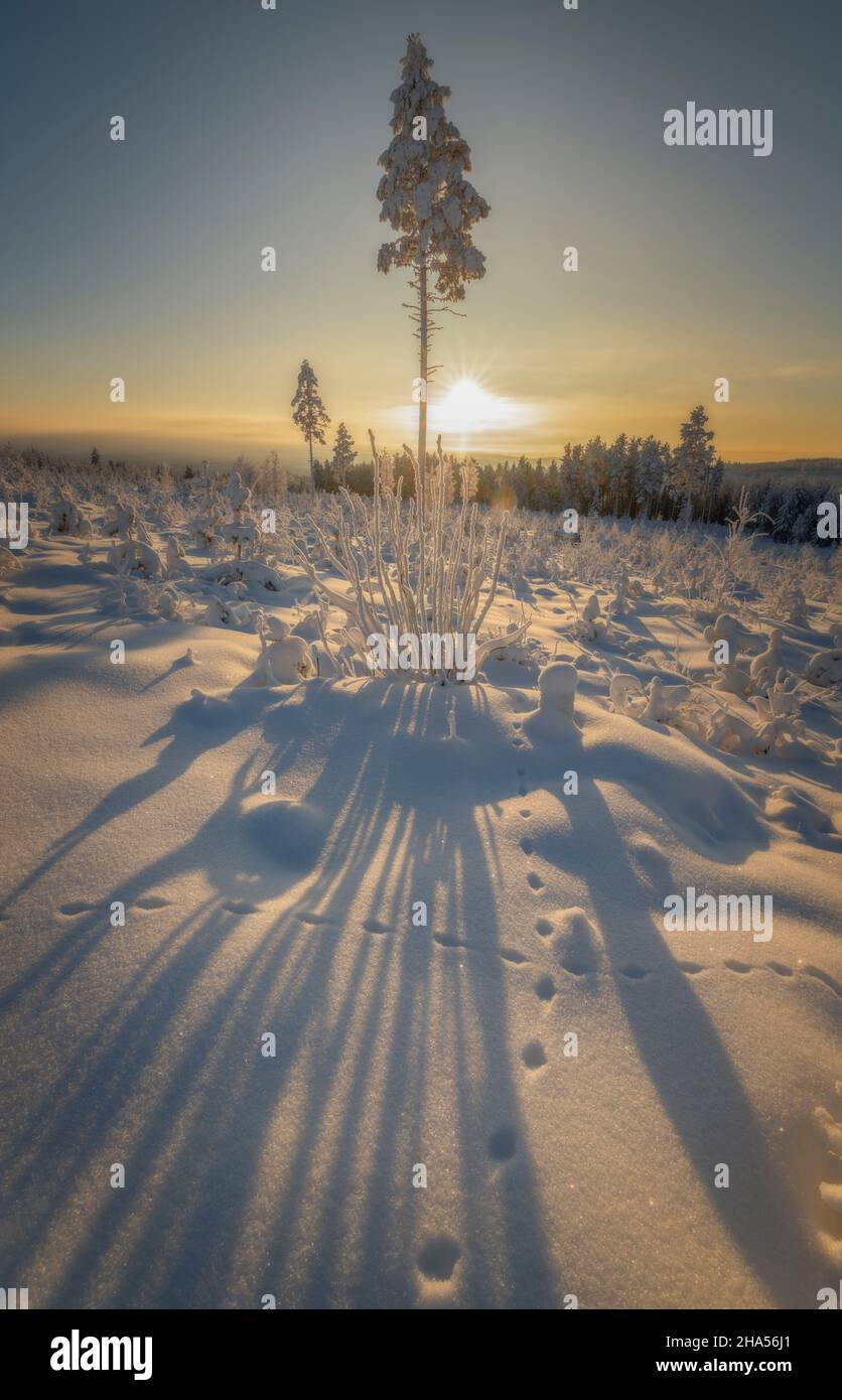 Flares of the sun hi-res stock photography and images - Alamy