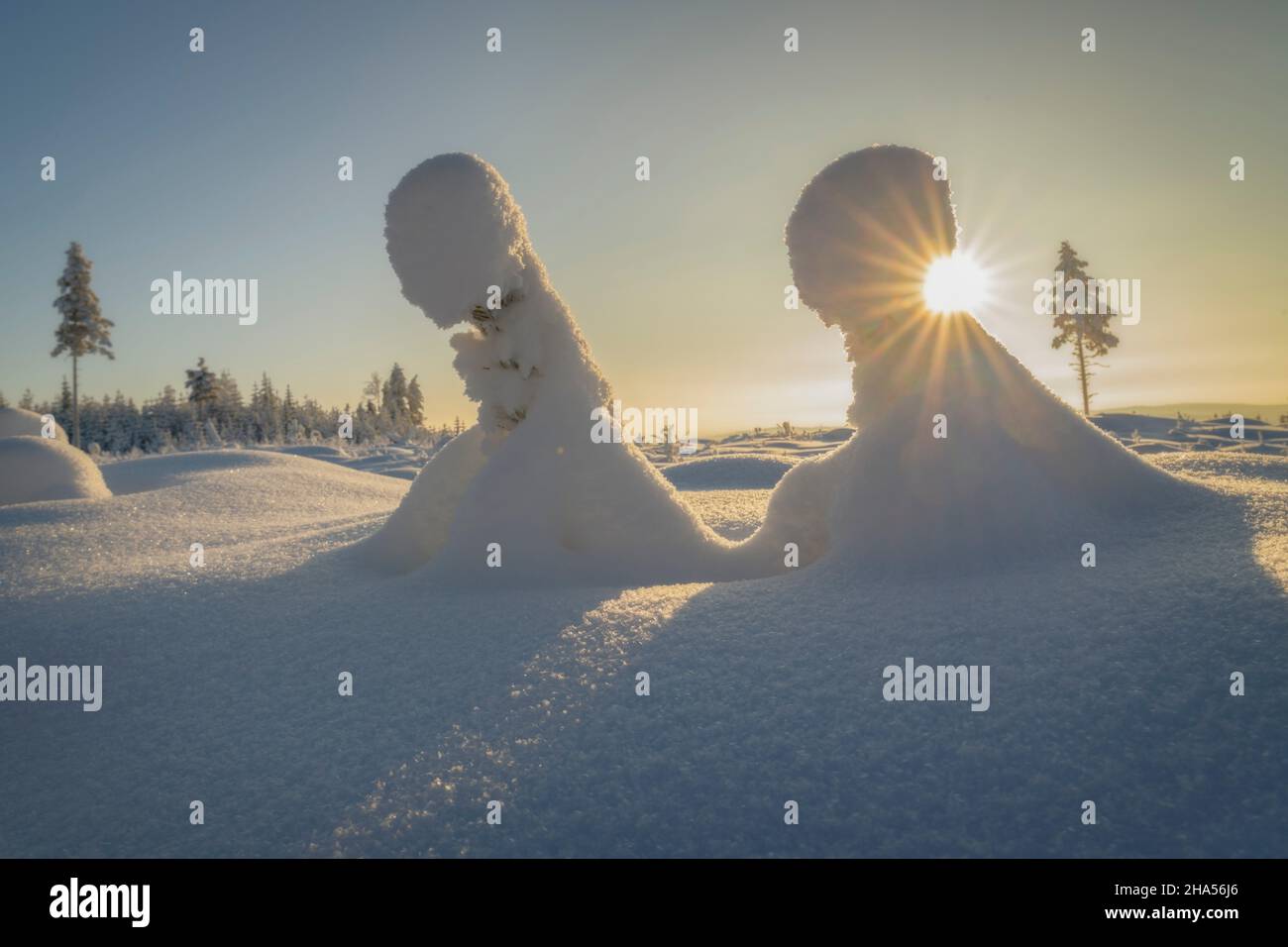 Sculpture snow landscape hi-res stock photography and images - Alamy