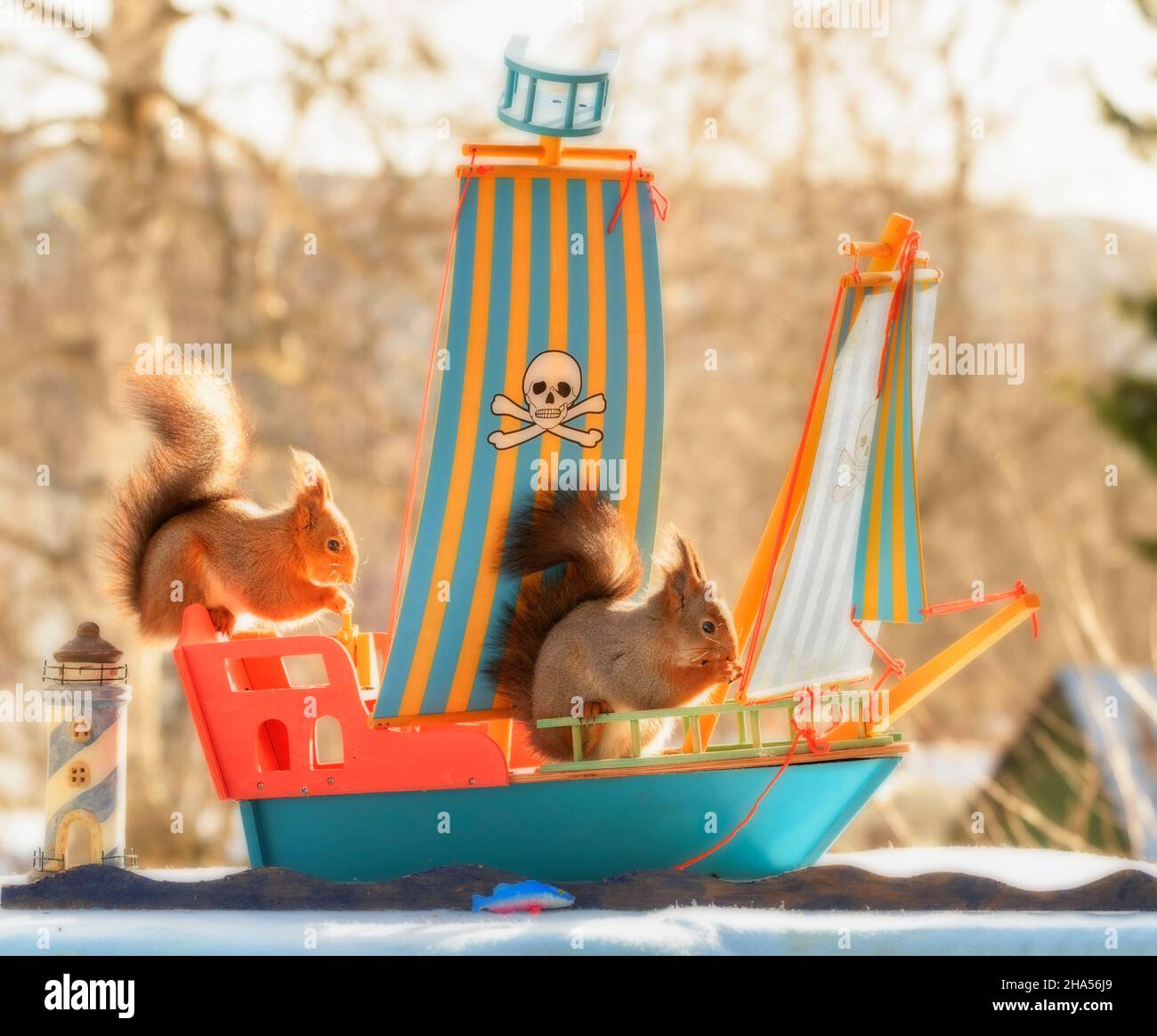 red squirrels are standing on a pirate boat Stock Photo - Alamy