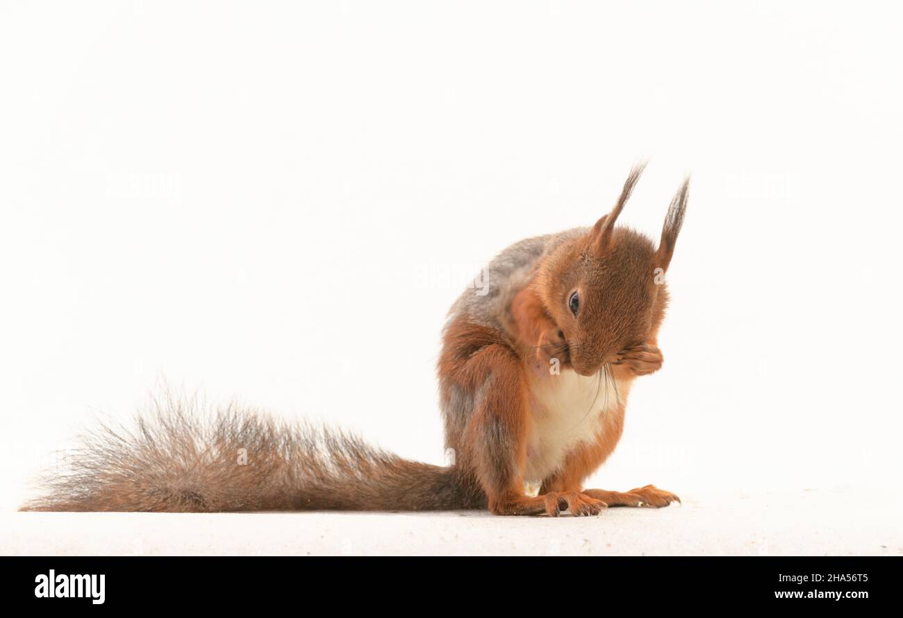 Looking down white hi-res stock photography and images - Alamy