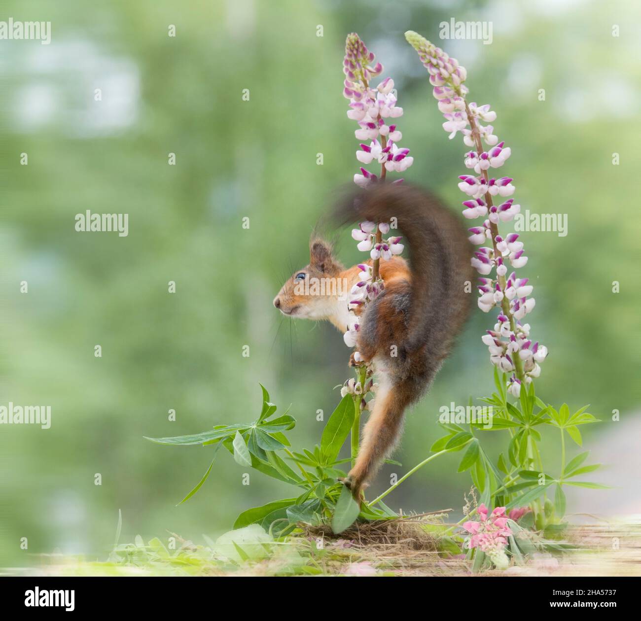 Holding sundial hi-res stock photography and images - Alamy
