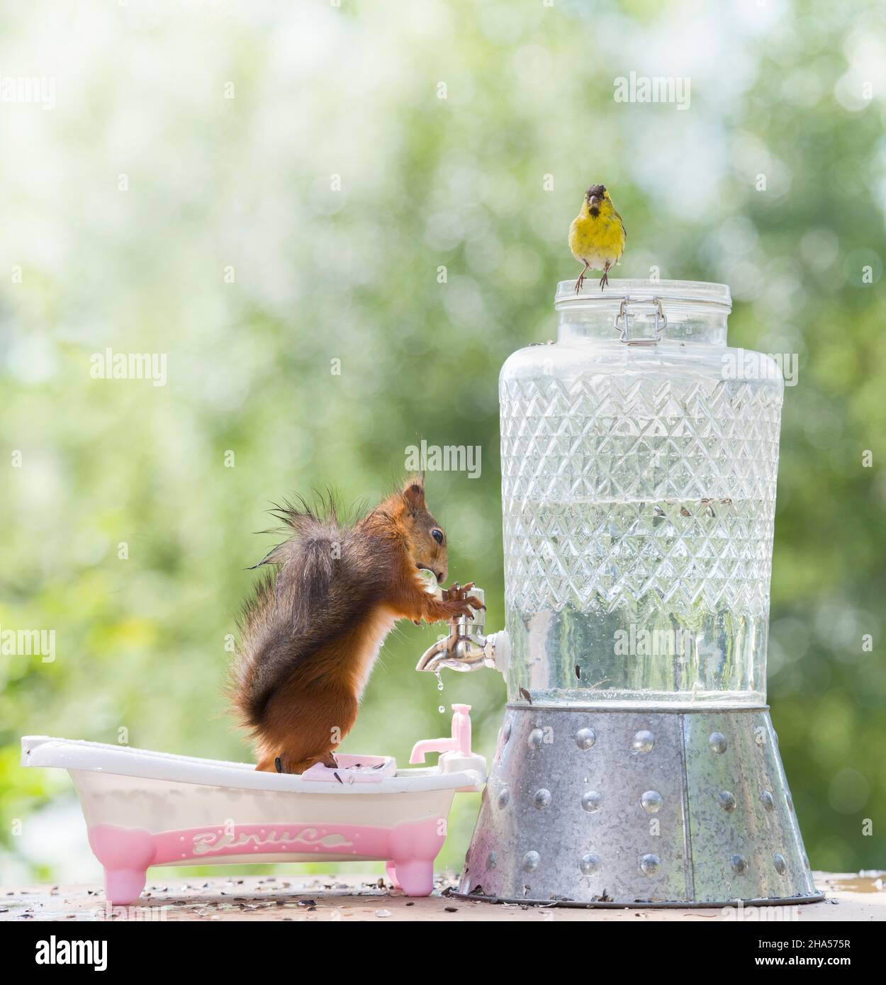 Bath tap hi-res stock photography and images - Alamy
