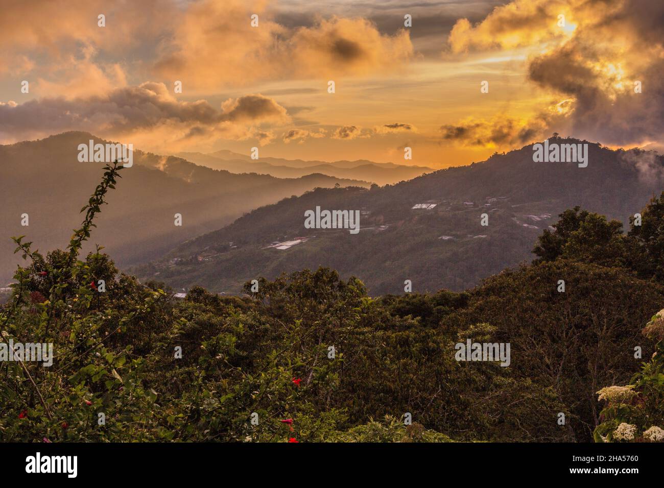 Evening view of the landscape of mountains near Mount Kinabalu, Sabah ...