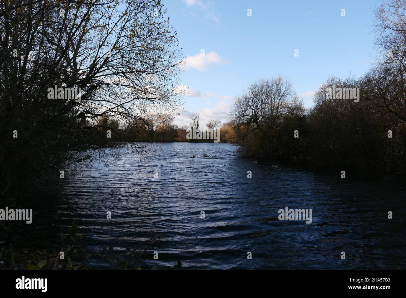 An attractive lake, with the rivers Colne and Frays running alongside ...