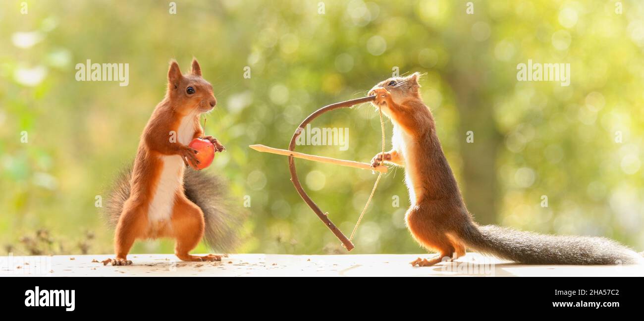 Red apple arrow hi-res stock photography and images - Alamy