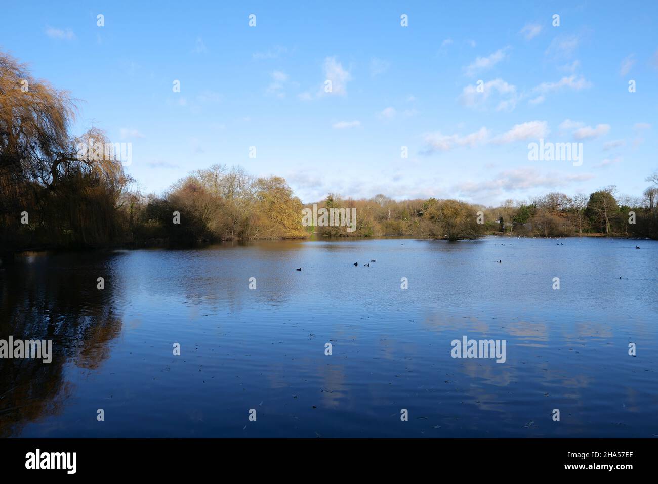 An attractive lake, with the rivers Colne and Frays running alongside ...
