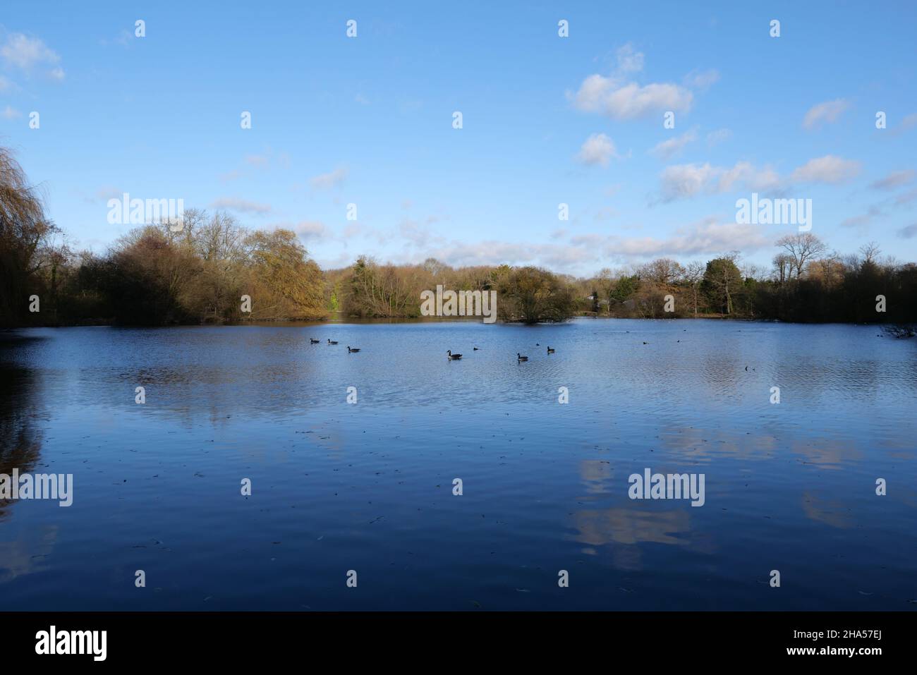 An attractive lake, with the rivers Colne and Frays running alongside ...