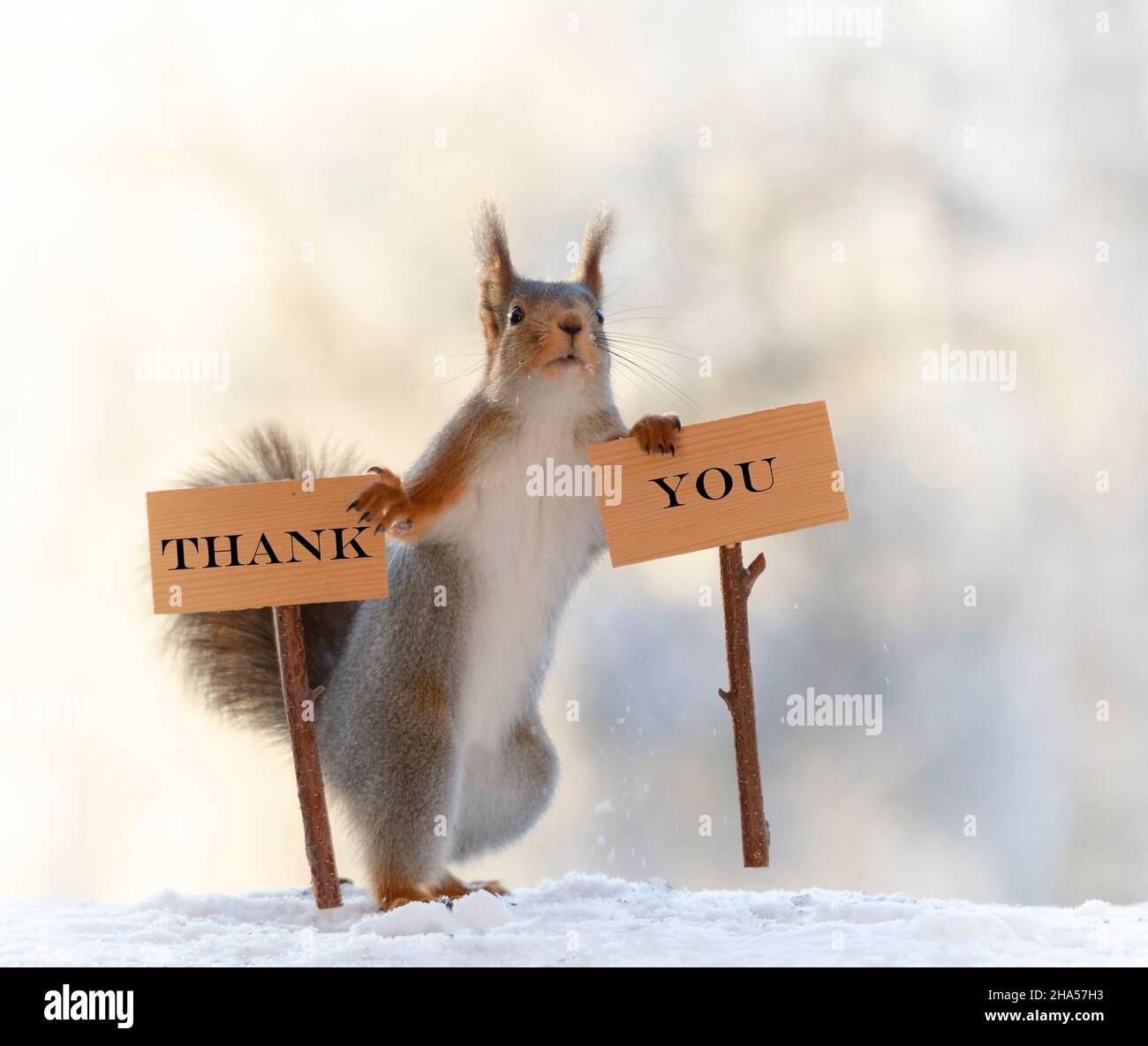 Thank you sign hi-res stock photography and images - Alamy