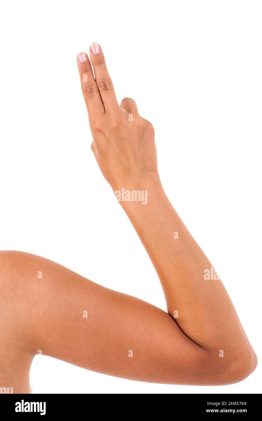 show, finger, hand, report, to, good, school, pointing, sign language ...