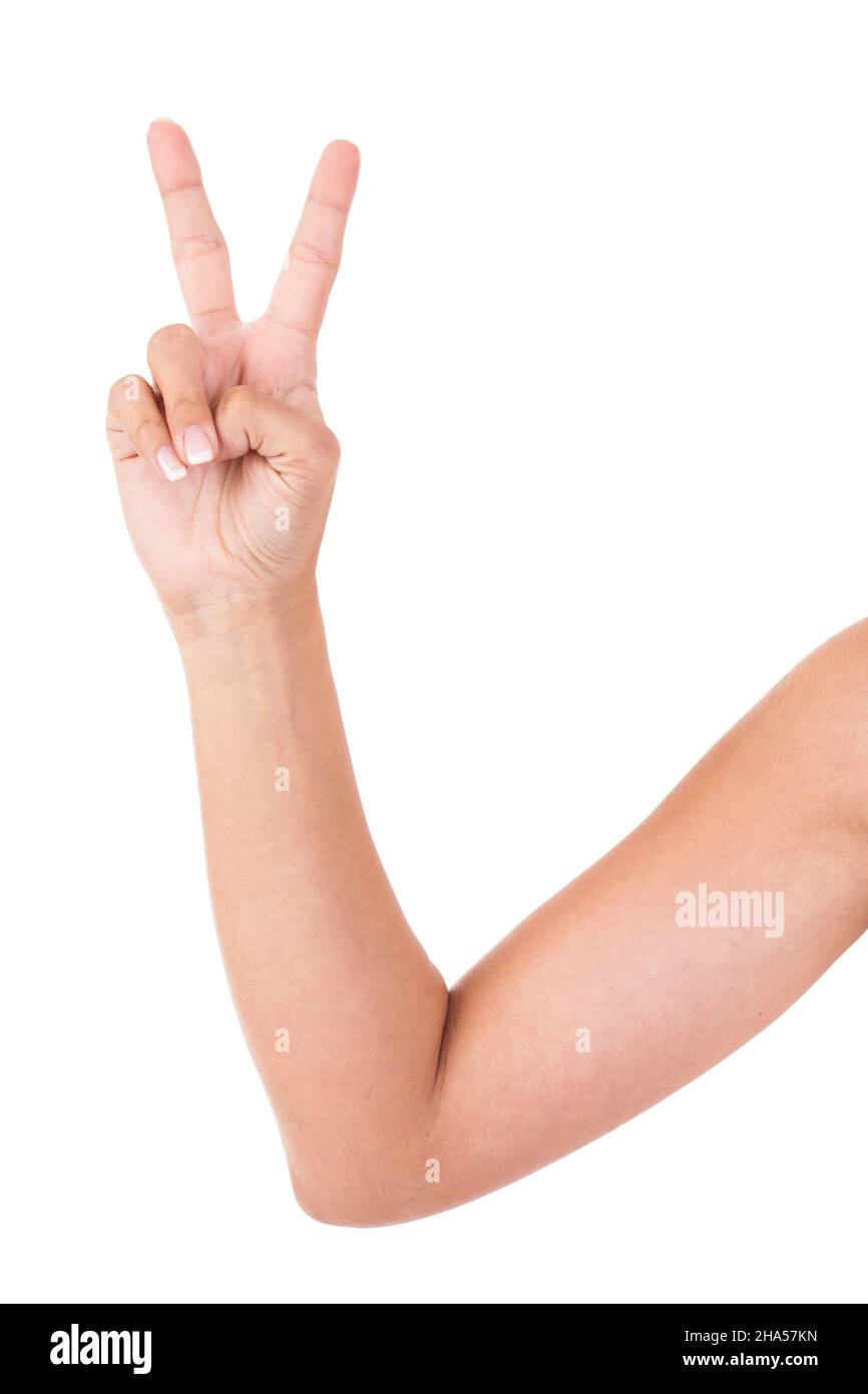 Hand, show, win, win, peace, victory, success, successful, pointing ...