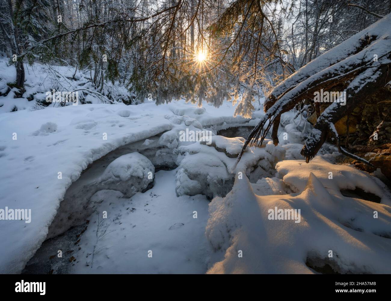 frozen river in a forest mountain and winter landscape Stock Photo - Alamy