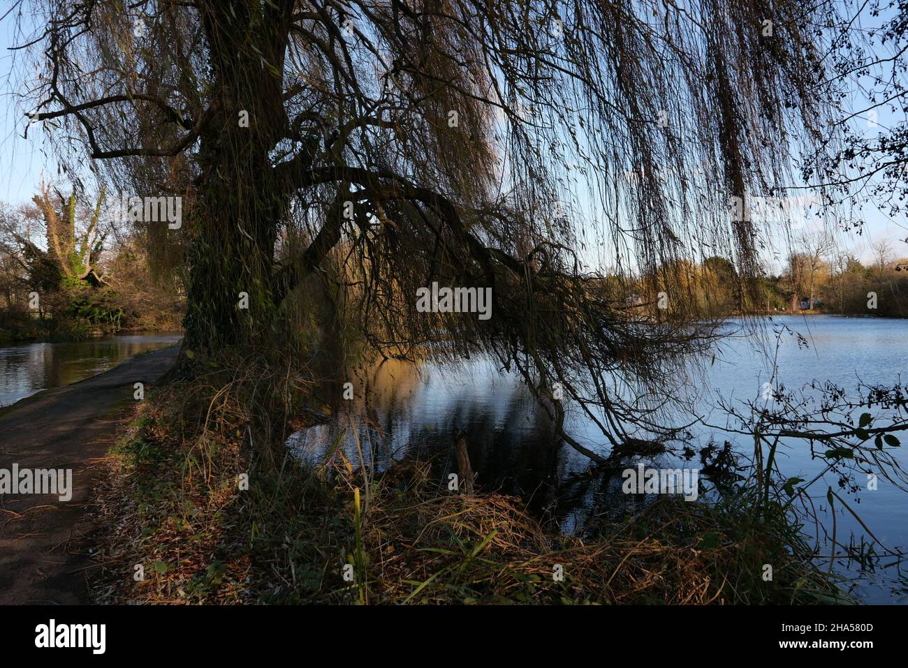 An attractive lake, with the rivers Colne and Frays running alongside ...