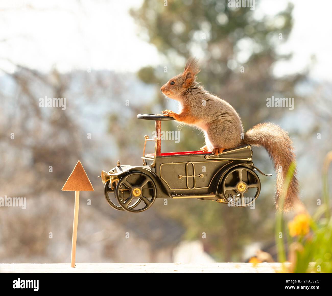 Driving in nature hi-res stock photography and images - Alamy