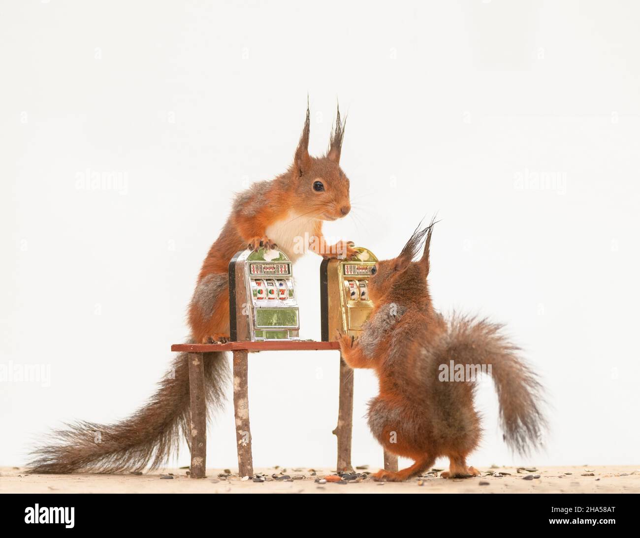 Betting machine hi-res stock photography and images - Alamy