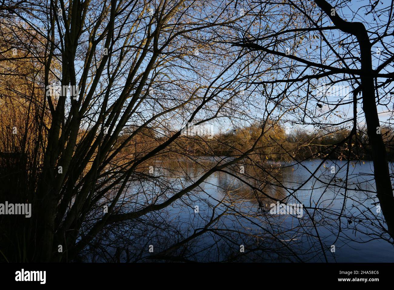 An attractive lake, with the rivers Colne and Frays running alongside ...