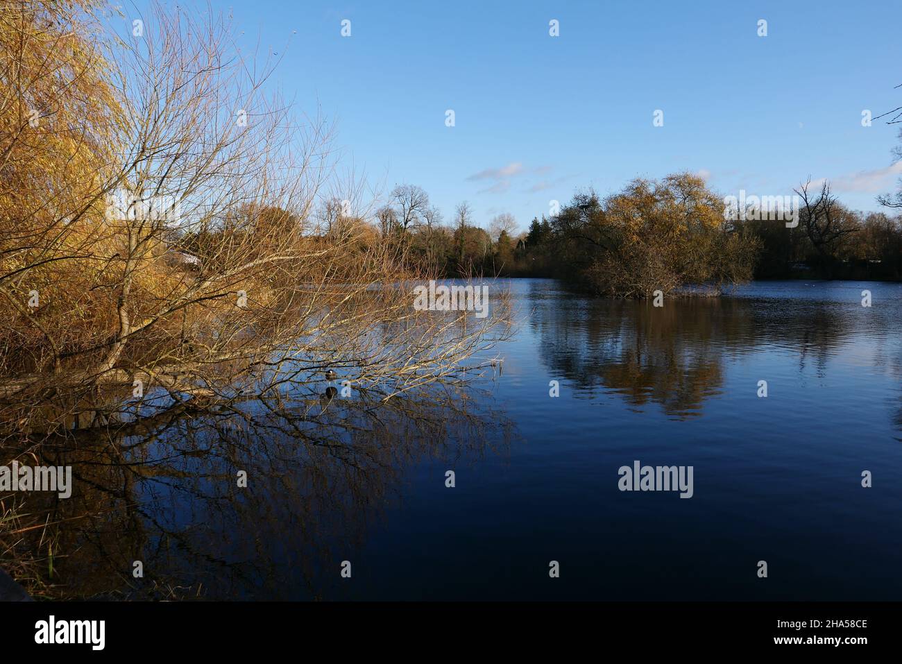 An attractive lake, with the rivers Colne and Frays running alongside ...