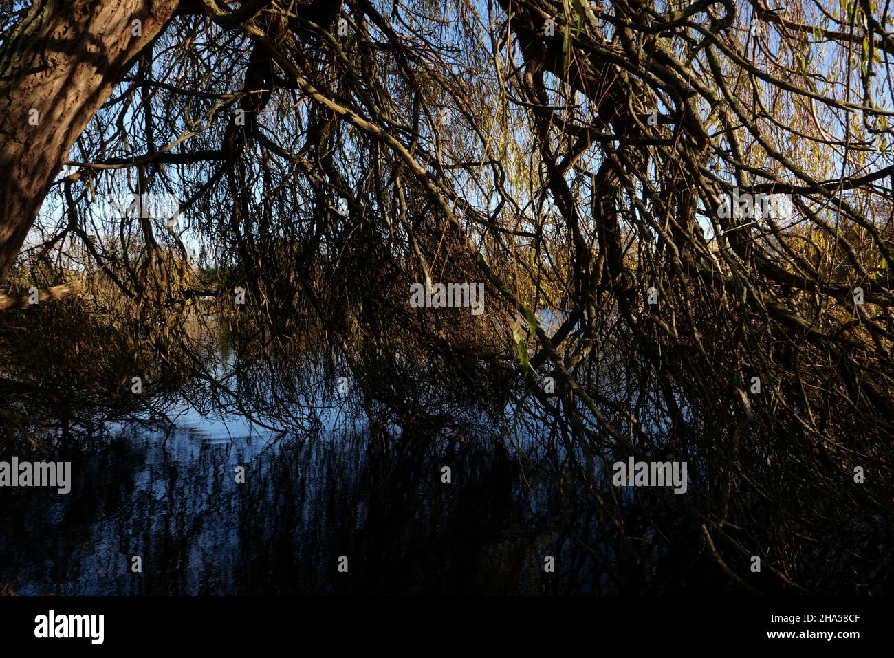 London hidden rivers map hi-res stock photography and images - Alamy