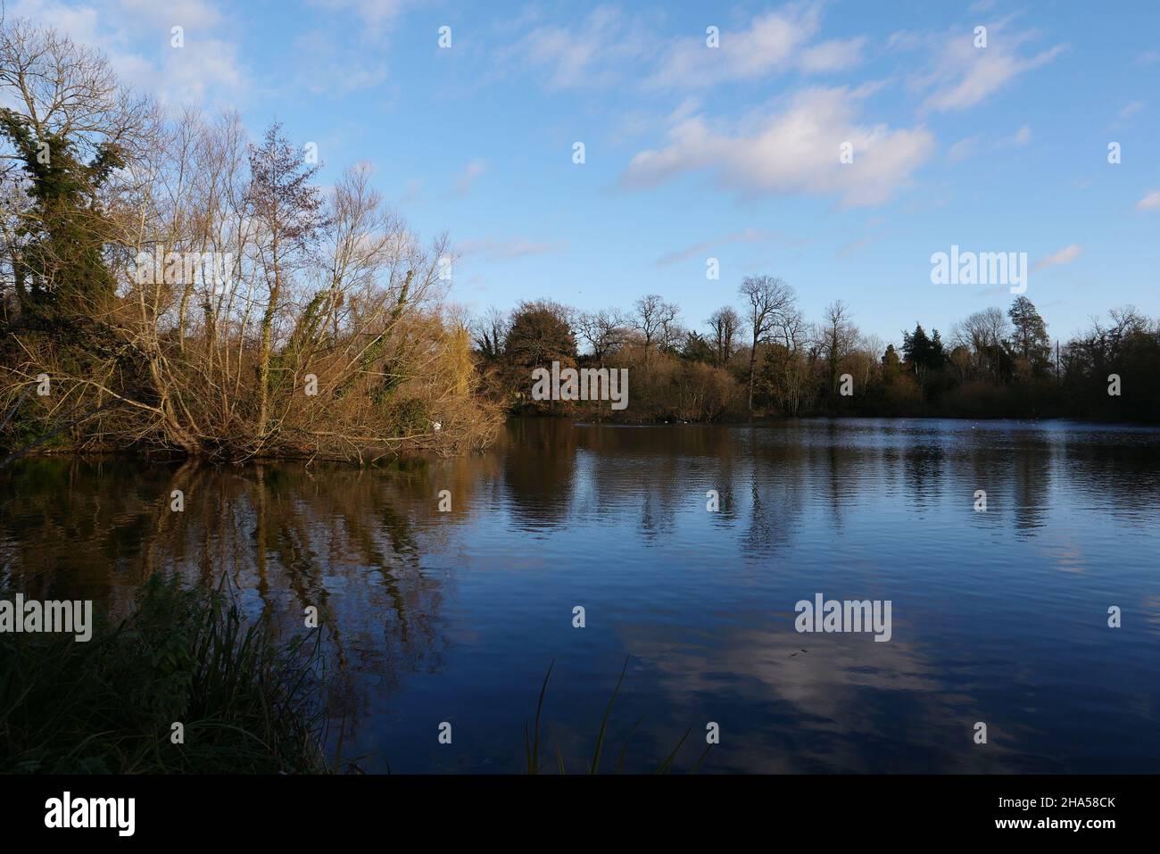 An attractive lake, with the rivers Colne and Frays running alongside ...