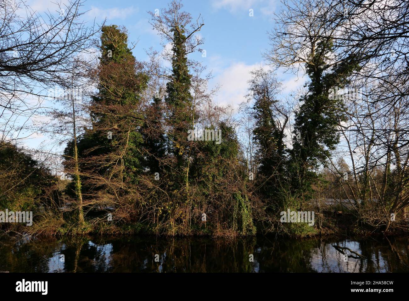 An attractive lake, with the rivers Colne and Frays running alongside ...