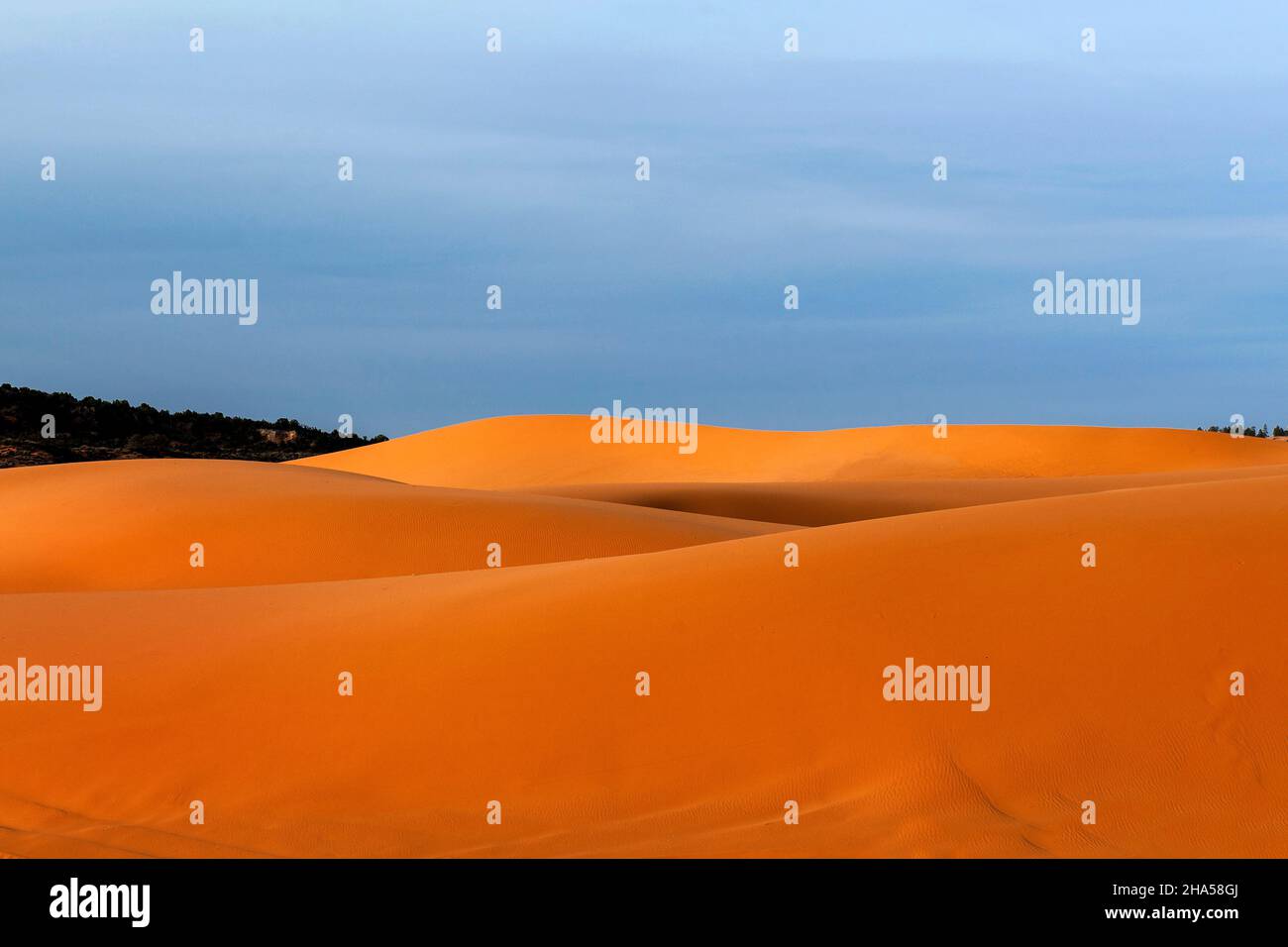 Pink-Hued Sand Dunes at Sunset, Coral Pink Sand Dunes State Park, Kanab ...