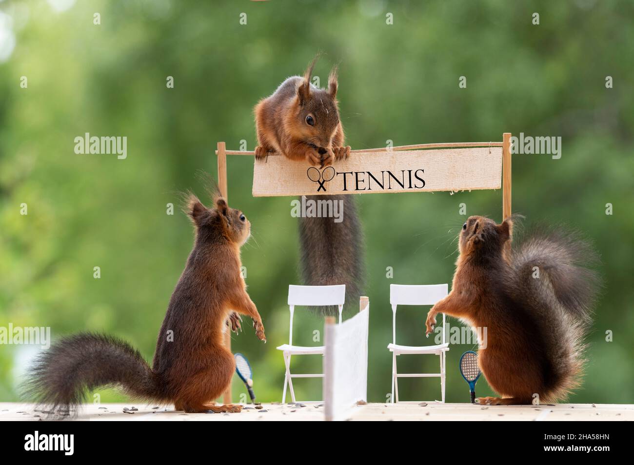 Tennis referee chair hi-res stock photography and images - Alamy
