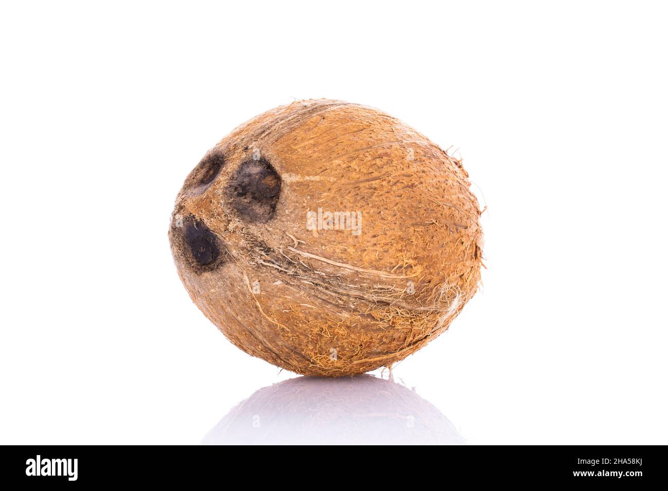 One ripe organic coconut, close-up, isolated on white Stock Photo - Alamy
