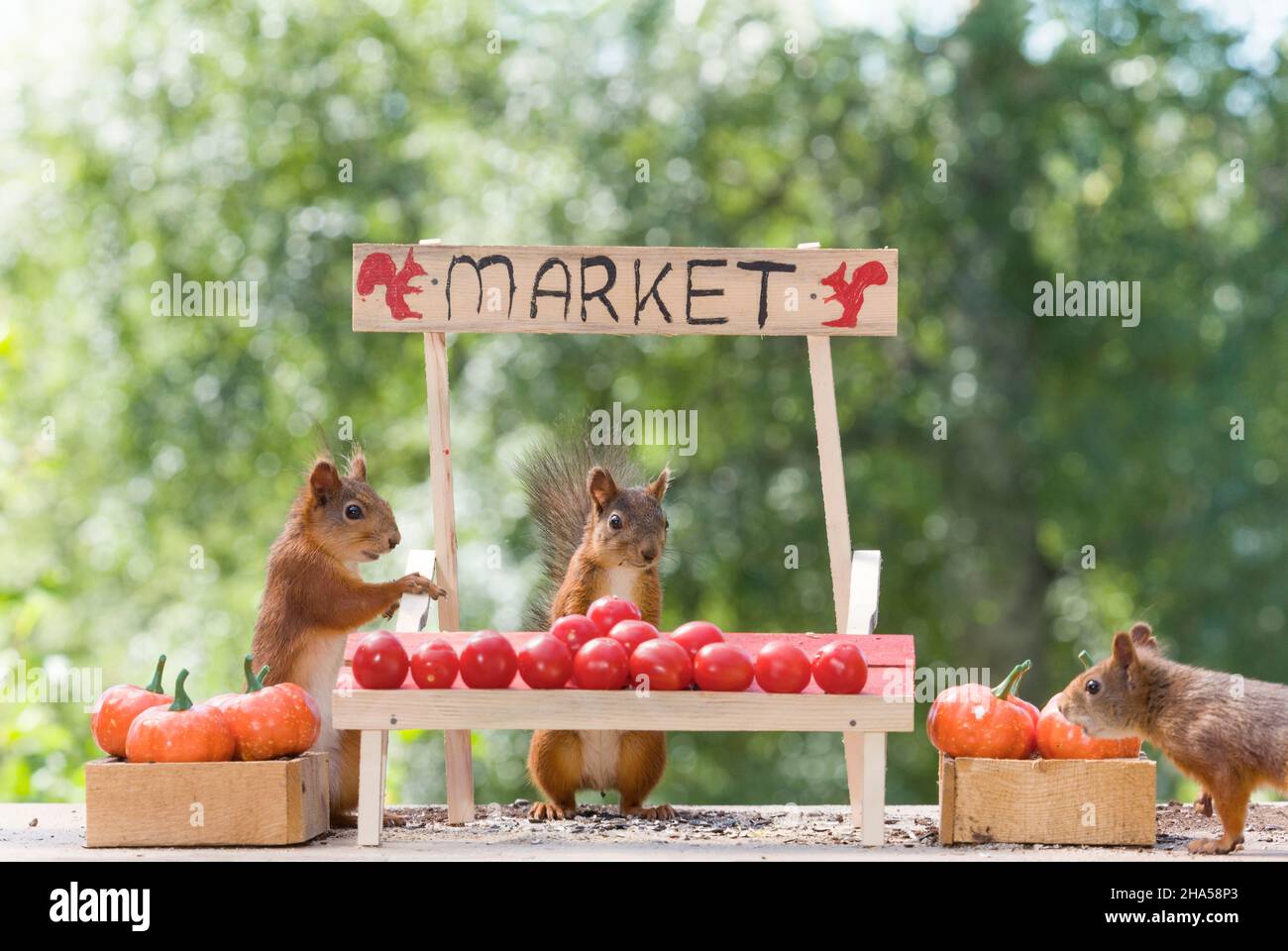 Market stand hi-res stock photography and images - Alamy