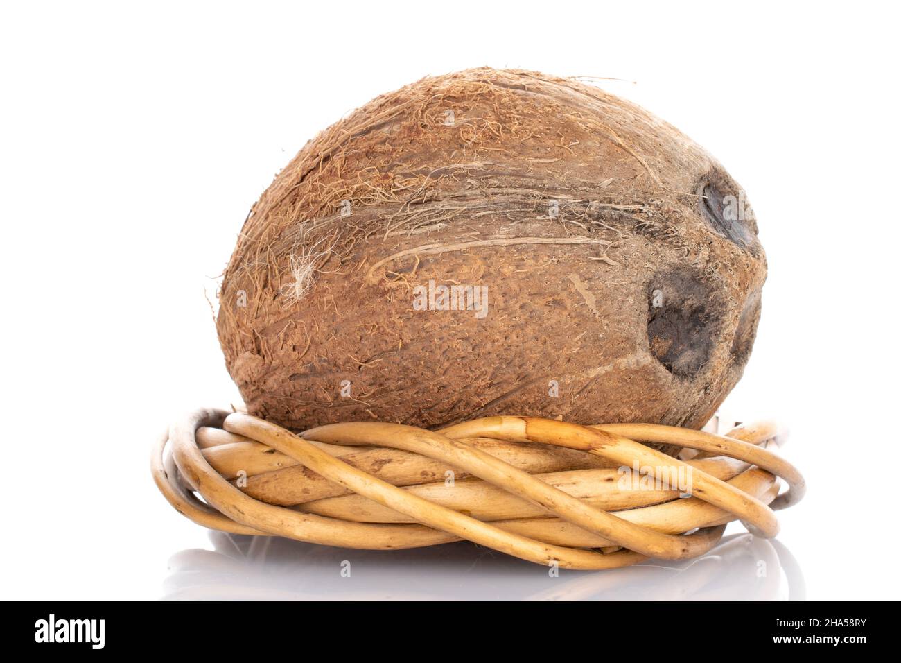 One ripe organic coconut with vine wreath, close-up, isolated on white ...