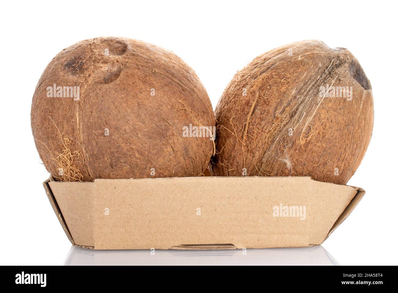 Two ripe organic coconuts in a paper box, close-up, isolated on white ...
