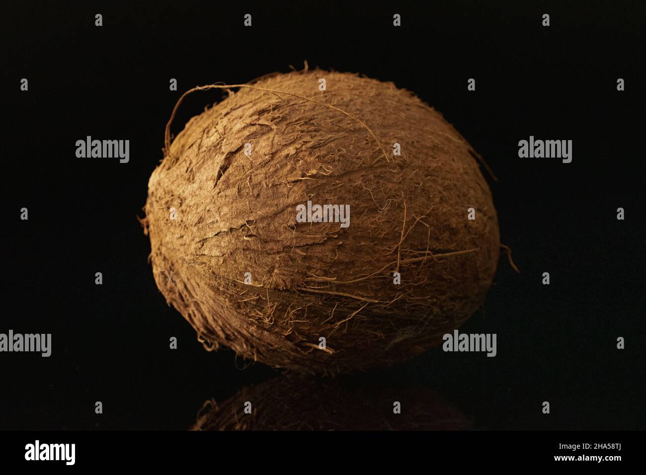 One ripe organic coconut, close-up, isolated on black Stock Photo - Alamy