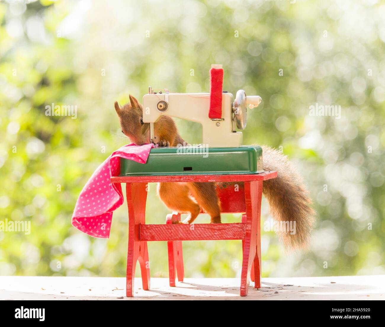 Sewing chair hi-res stock photography and images - Alamy