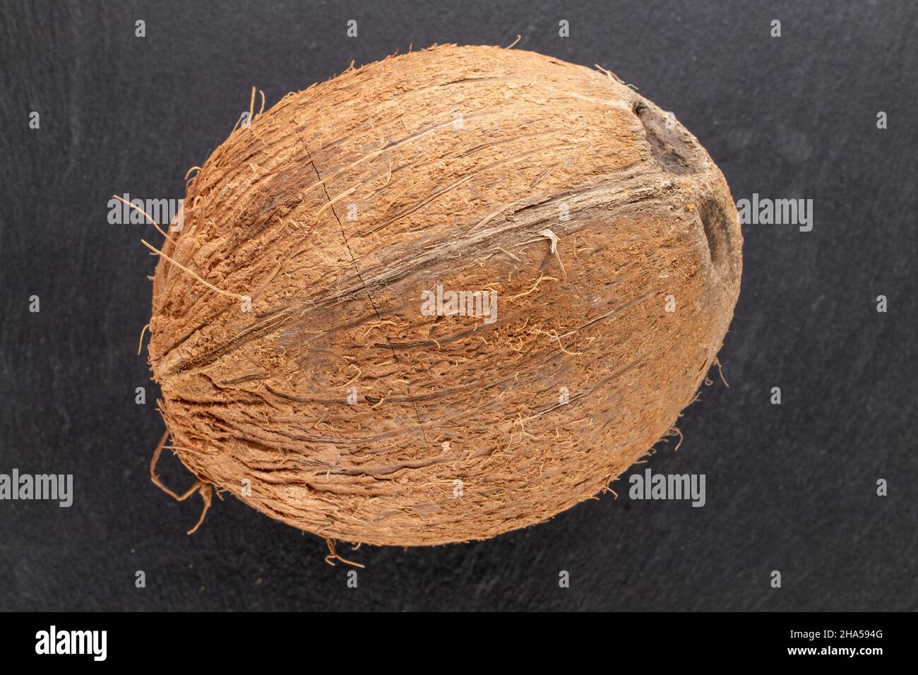 One natural coconut on a slate board, close-up, top view Stock Photo ...