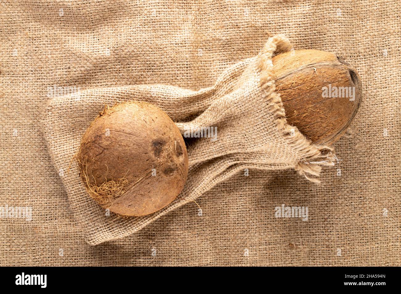 Two ripe organic coconuts with a jute bag on sacking, close-up, top ...