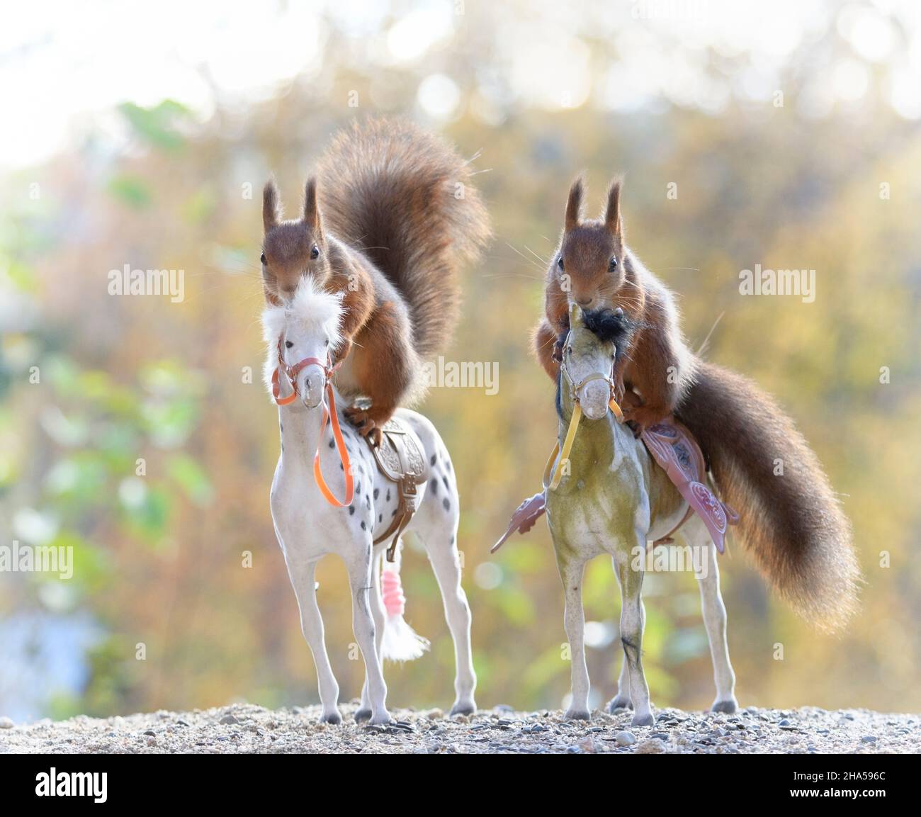 Two race horses hi-res stock photography and images - Alamy