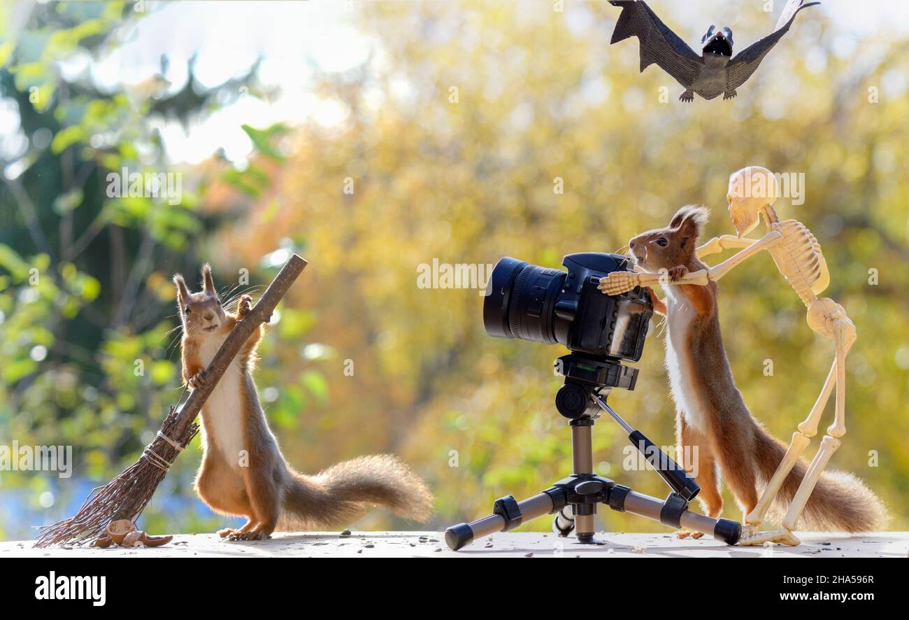 Camera and an skeleton hi-res stock photography and images - Alamy