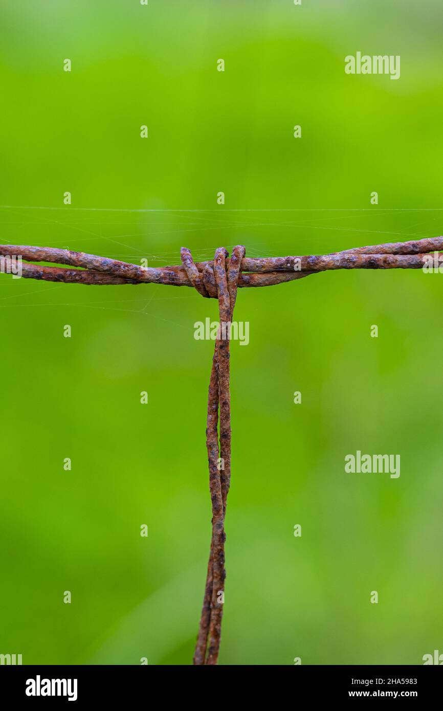 Closeup shot of an old rusty wire with vibrant green background Stock ...