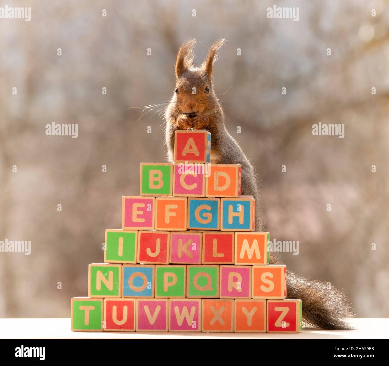 Letter blocks hi-res stock photography and images - Alamy