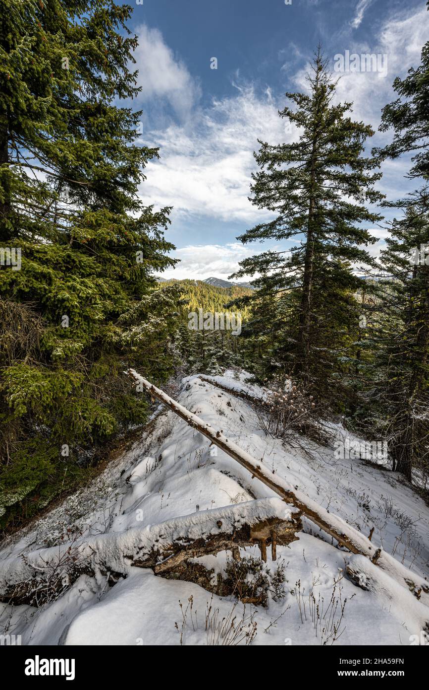 Okanogan-Wenatchee National Forest in Washington State Stock Photo - Alamy
