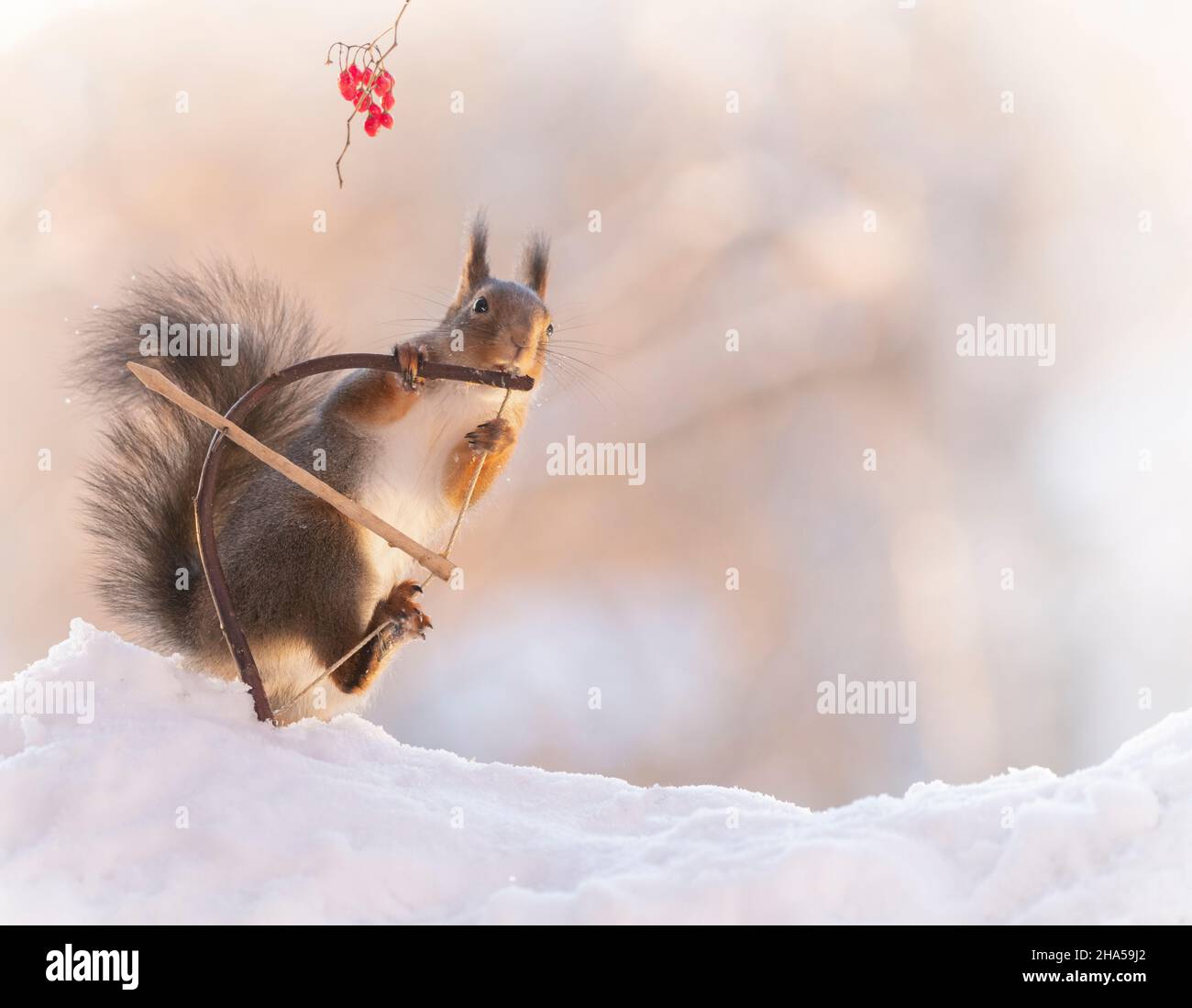 Holding bow hi-res stock photography and images - Alamy