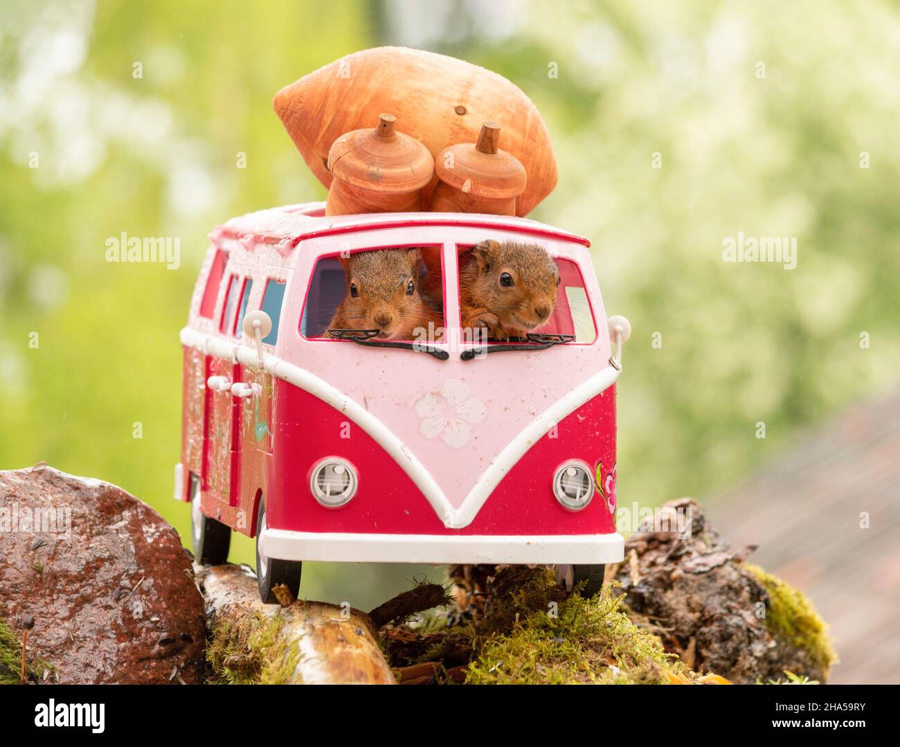 Wagon roof hi-res stock photography and images - Alamy