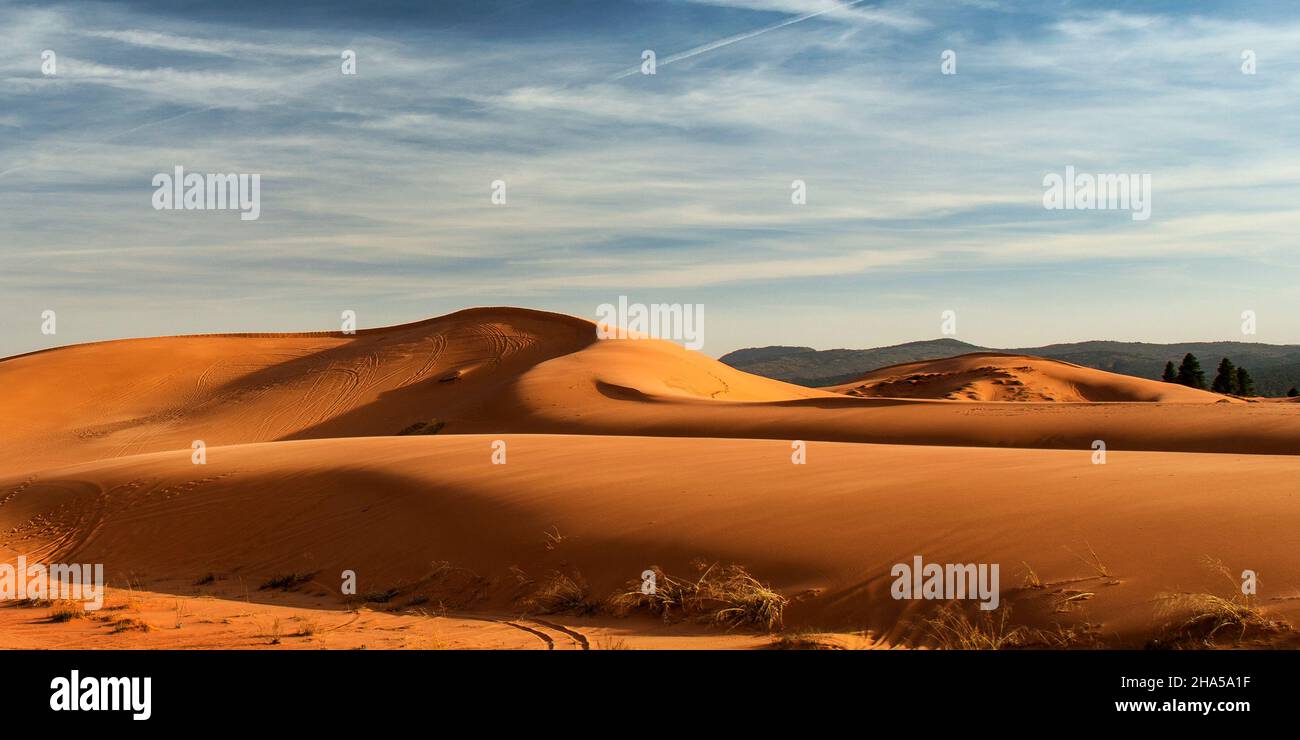Coral Pink-Hued Sand Dunes, Coral Pink Sand Dunes State Park, Kanab ...