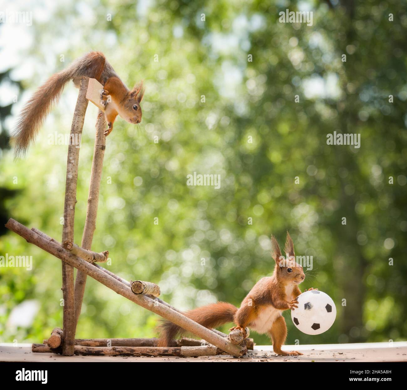 Ball in stadium hi-res stock photography and images - Alamy